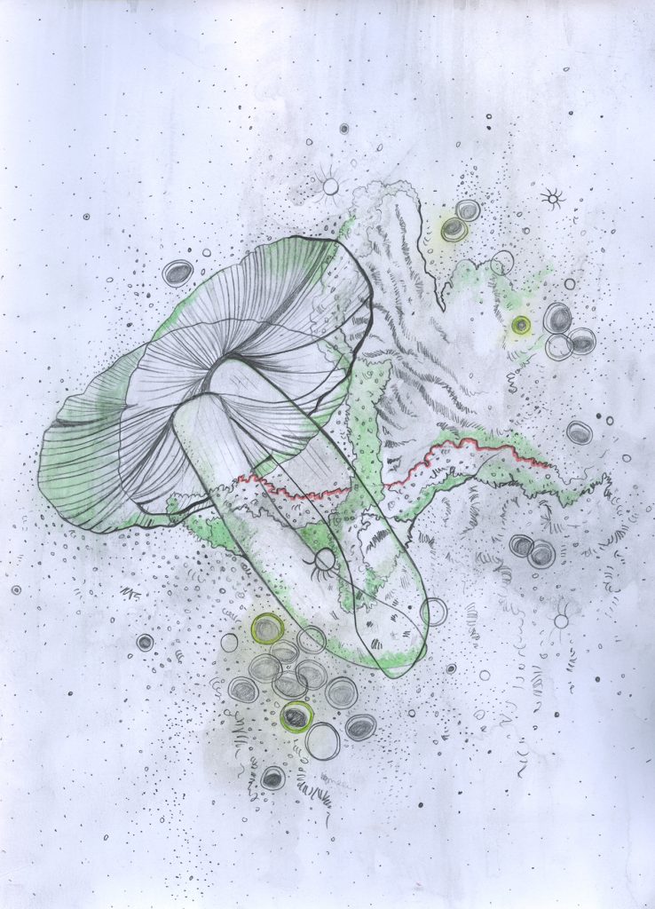 Hannah Mathis – Practices of Hope – About Place Journal