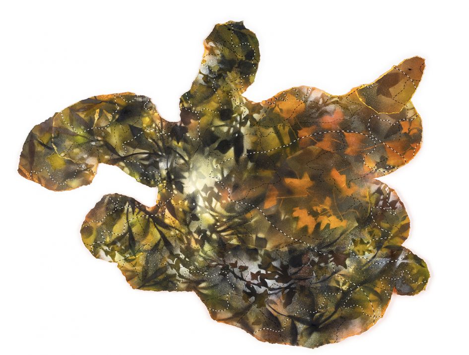 Kathleen Caprario – When We Are Lost / How We Are Found – About Place ...